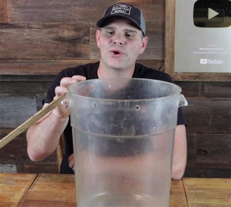 How To Catch Mice In A Bucket Diy Joy