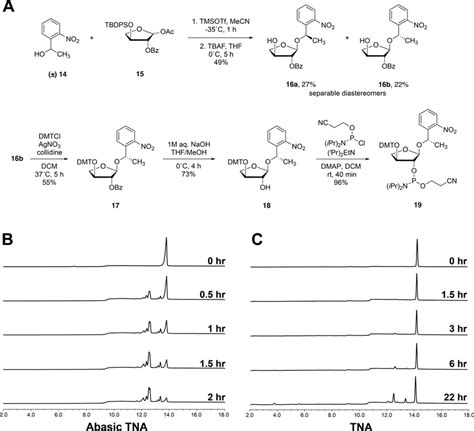 Synthesis And Evaluation Of An Abasic TNA Toward Acid Media Ted TNA Download Scientific Diagram