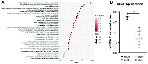 A Plot Of Gene Set Enrichment Analysis Gsea Results Showing All The
