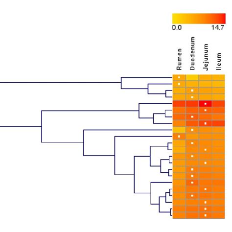 hierarchical clustering of amino acid transporter abundance data in