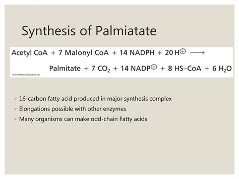 Fatty Acid Notes Pptx