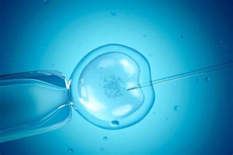 Post Mortem Sperm Donation Martin Bullock Lawyers