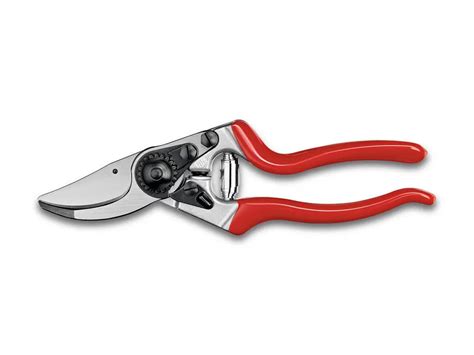 2024 Stihl Ps 60 Pruning Saw Trailgo