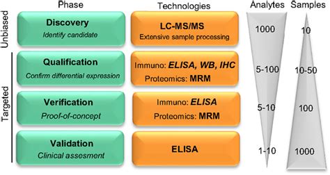 Pipeline Reflecting The Development On Novel Protein Biomarker Download Scientific Diagram