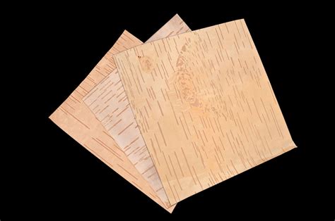 Buy Bhojpatra Set Of 5 Pc Bhoj Patra Sheet Bhojpatra Sheet For