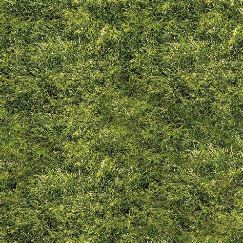 Grass Luxury Vinyl Sheet Flooring Harvey Maria
