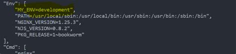 docker pass environment variables cherry servers