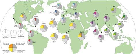 The Comparison Of The Types Of Polymorphism Within Sampled Population Download Scientific