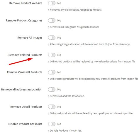 Magento 2 Product Import Remove Related Products Firebear