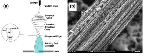3 A Schematic Diagram Of Experimental Setup With A Rotating Disk As Download Scientific Diagram
