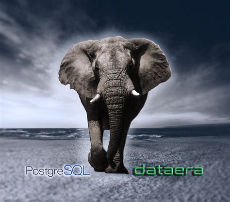 Home PostgreSQL Administration
