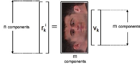 Description Of A Cylindrical Coordinate Image By Means Of Projection