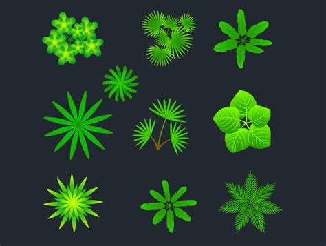Blocs Cad De Palmiers Téléchargement Dwg Gratuit Pour Autocad