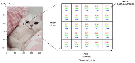 Numpy Fundamentals Understanding Matrix Dimensions
