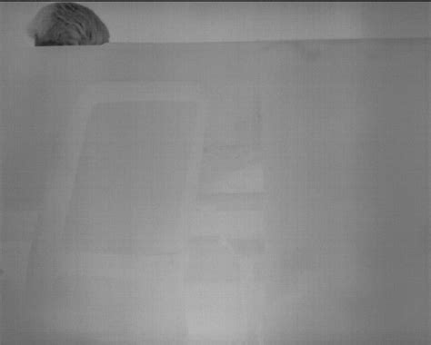 test object detection dataset by test