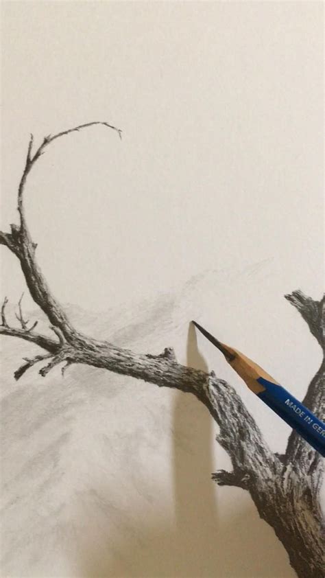 How To Draw Realistic Trees With Pen Ink Artofit