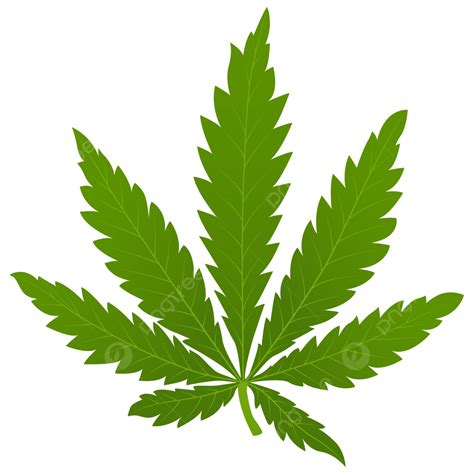 รูปภาพตัดปะใบกัญชา Png วันต่อต้านยาเสพติดสากล กัญชา ไม่พูดกับยาเสพติดภาพ Png และ เวกเตอร์
