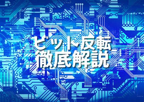 Verilogでビット反転！初心者でもわかる6つのステップ Japanシーモア