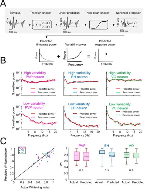 Figures And Data In Neural Variability Determines Coding Strategies For