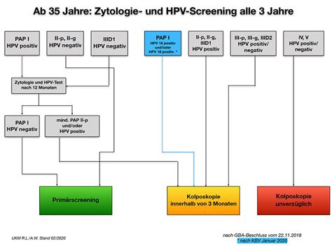 Algorithmus Zytologielabor Lüdinghausen
