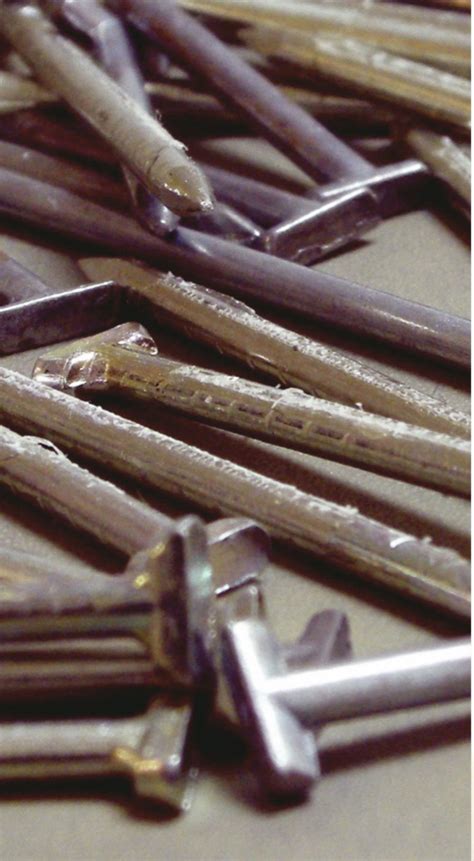 میخ غیرشانه ای توسکا میخ نواری و میخکوب نواری ویستا انواع میخ