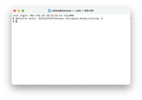 How To Turn Off Mouse Acceleration On Mac Step By Step