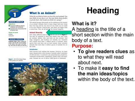 Text Features Ppt Download