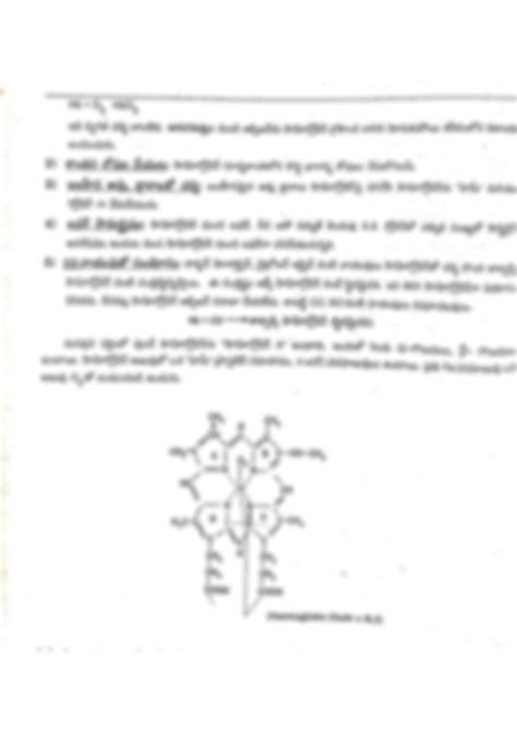 Solution Hemoglobin Diagram And Regulations Studypool