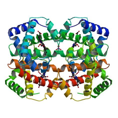 Pdb 101 Learn Guide To Understanding Pdb Data Missing Coordinates
