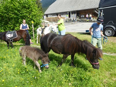 Bauernhof Emmental