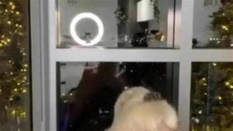 Onlyfans Becky Crocker Bddp