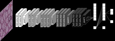 Architectural Representation Of The Vgg 16 Deep Network Used For