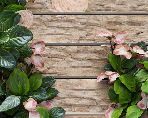 Premium Ai Image 3d Photo Circle Wood And Stone Podium With Calathea Orbifold Flower Backdrop