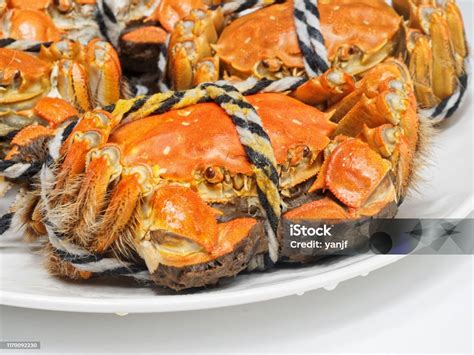 흰색 배경에 고립 된 접시에 밧줄 상하이 털게 게로 묶인 중국 장갑 게를 닫습니다 갈고리 발톱에 대한 스톡 사진 및 기타 이미지 갈고리 발톱 건강한 식생활 고기