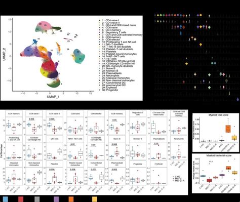 Altered Mis C Immune Cell Subsets With No Evidence Of Active Viral Or Download Scientific
