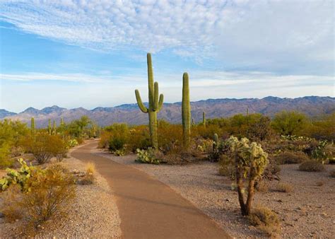 The Ultimate 3 Days In Phoenix Itinerary 2026 Guide