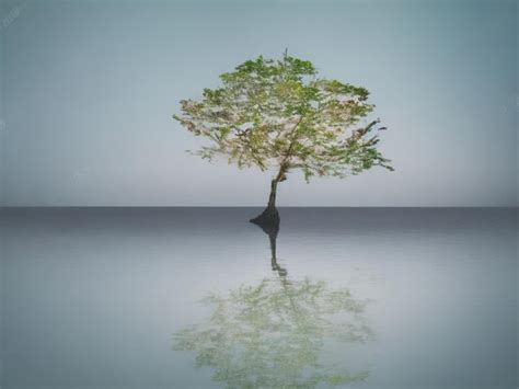 Premium Ai Image A Tree In Middle With Gradient Background