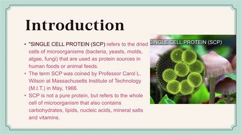 Single Cell Proteinscp Introduction Of Scp Importance Types And