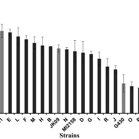 Sequencing Statistics For Six L Brevis Strains Download Scientific Diagram