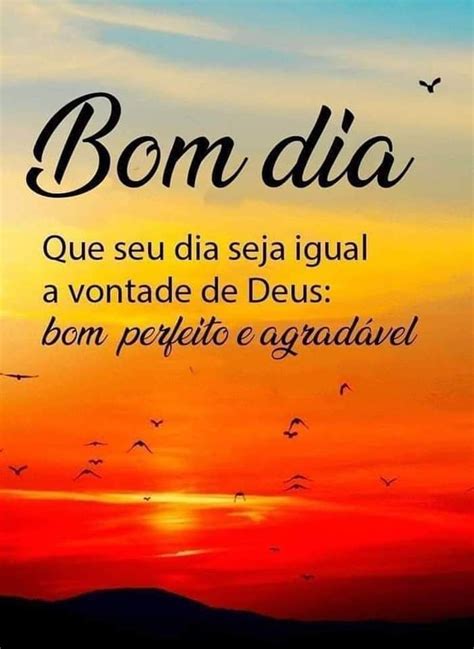 Bom Dia 🌄 Imagens De Boa Semana Imagens Bonitas De Amizade Bom Dia