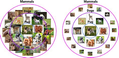 Hyperbolic Convolutional Neural Networks Paper And Code Catalyzex