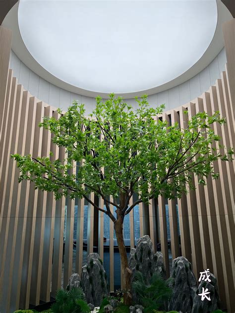 As I Step Into 2025 I Cant Help But Reflect On The Roller Coaster That Was 2024—a Year Filled