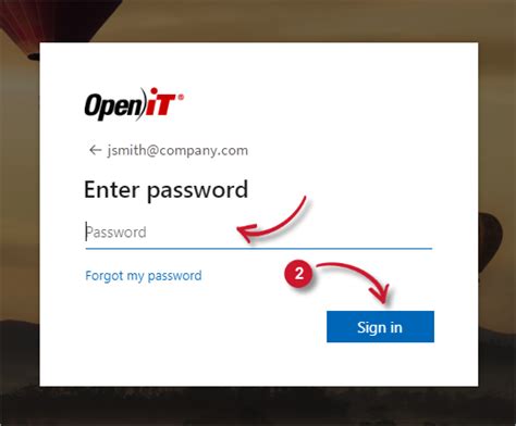 accessing the web interface open it online documentation