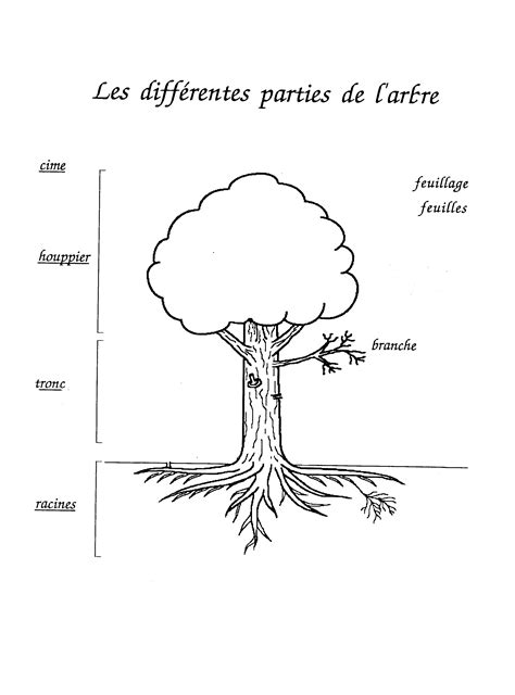Exercices Feuille Et Arbre Artofit