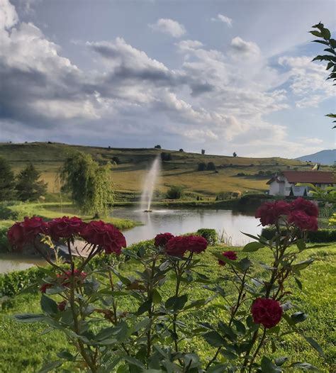 Дидева На сайта на Министерство на образованието са публикувани следните регламенти на