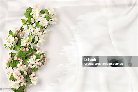 아름 다운 봄 꽃이 만발한 사과 나무 가지 우아하고 햇볕이 잘 드는 배경 추상적인 꽃꽂이와 스크린용 배너 텍스트를 위한 공간이