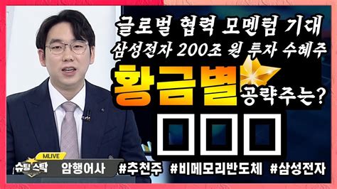 황금별 공략주 글로벌 대기업 협력 모멘텀 기대 삼성전자 200조 원 반도체 투자 수혜주 매매 전략 Youtube