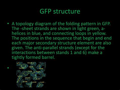 Ppt Gfp Green Fluorescent Protein By Kitija Kaulina Powerpoint