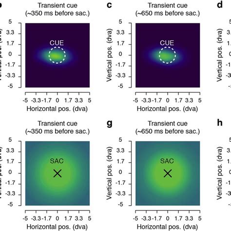 Saccade Endpoint Maps And Sensitivity Maps Relative To Saccade