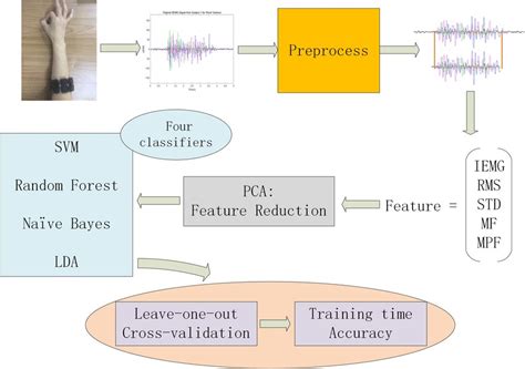 Flow Block Diagram For Semg Processing Download Scientific Diagram